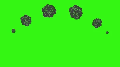 Black roses graphic animation on green s... | Stock Video | Pond5