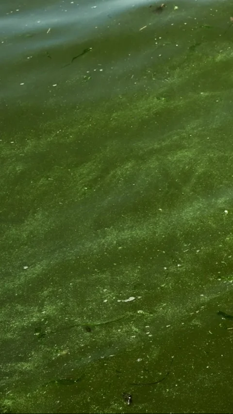 Become The Water Stock Videos – Royalty-Free HD & 4K Videos