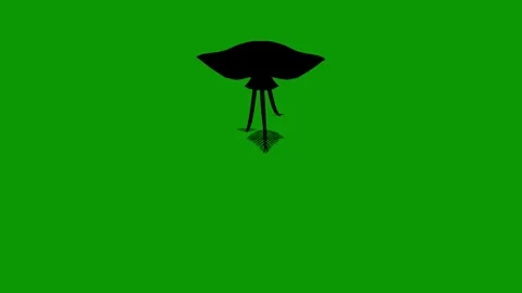 Fish Animation Rule34Videos Stock Videos – Royalty-Free HD & 4K Videos