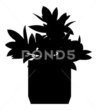 Black silhouette vector illustration Potted plant, house plant ...