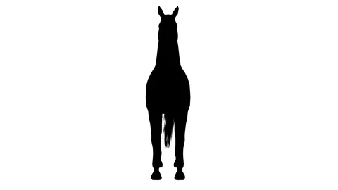 Walking Horse Silhouette Images