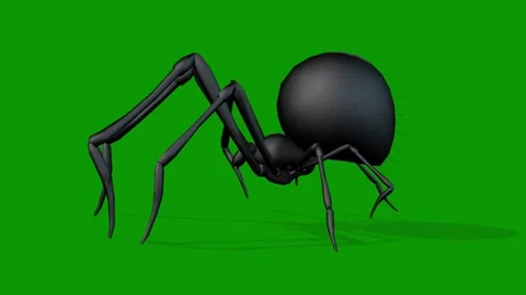 Black Spider Walking Left On Green Scree... | Stock Video | Pond5