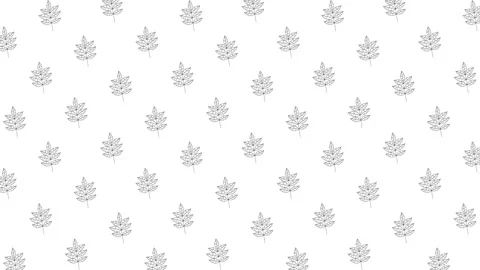 Black thin line animated ash tree leaves... | Stock Video | Pond5