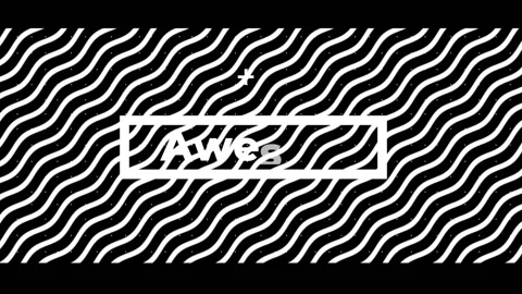 Black White Dynamic Logo ~ After Effects Project #194708039