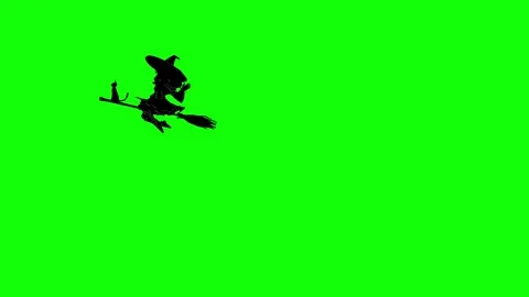 Bat Flying Motion Stock Videos – Royalty-Free HD & 4K Videos | Page 5