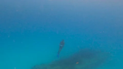 Black woman diver rising to the surface ... | Stock Video | Pond5