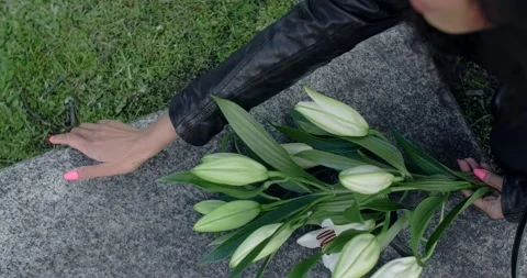 Black Lays Stock Videos – Royalty-Free HD & 4K Videos