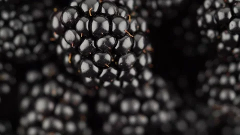 Blackberry Background Stock Videos – Royalty-Free HD & 4K Videos