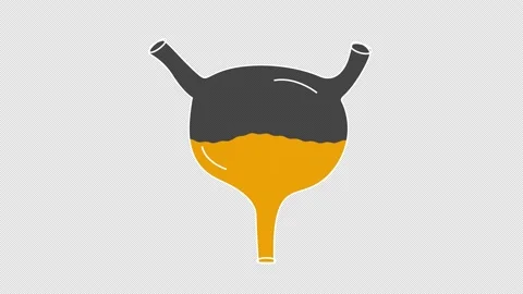 Bladder. Cartoon style. Animated illustr... | Stock Video | Pond5