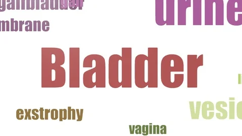 Bladder Word Cloud Animated Isolated | Stock Video | Pond5
