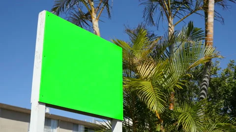 Palm 2 Customization Stock Videos – Royalty-Free HD & 4K Videos