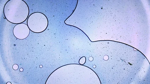 Liquid Flow Under Microscope Stock Footage ~ Royalty Free Stock Videos ...