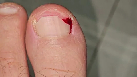 Insult Stock Footage ~ Royalty Free Stock Videos | Pond5