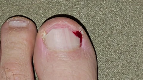 Insult Stock Footage ~ Royalty Free Stock Videos | Pond5