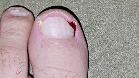 Insult Stock Footage ~ Royalty Free Stock Videos | Pond5