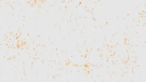 Channel For Sparkle Stock Videos – Royalty-Free HD & 4K Videos