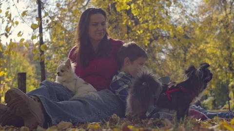 Hot_Mom_Adventure Stock Videos – Royalty-Free HD & 4K Videos