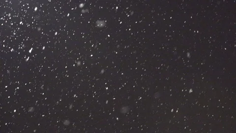 Blizzard of fast falling snow flakes at ... | Stock Video | Pond5