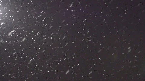 Blizzard of fast falling snow flakes at ... | Stock Video | Pond5