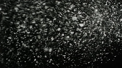 Blizzard Snow Storm Falling Snowflakes R... | Stock Video | Pond5