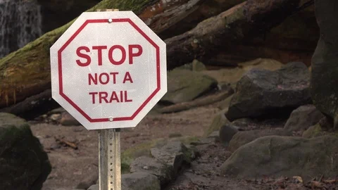 Blocked path by stop sign on forest hike... | Stock Video | Pond5