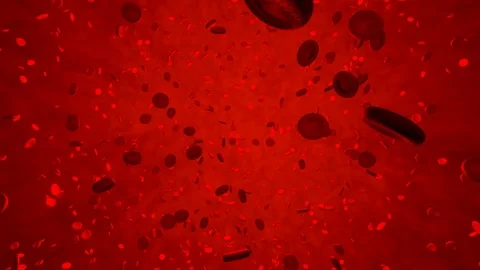 Blood and Hemoglobin cells Animation | Stock Video | Pond5