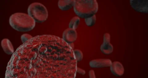 Blood Cell Human Red Cells 4K Animation ... | Stock Video | Pond5
