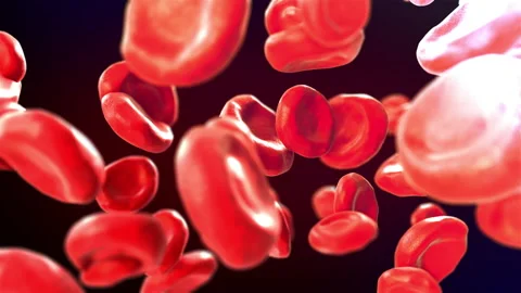 Blood Flow Animation Stock Videos – Royalty-Free HD & 4K Videos