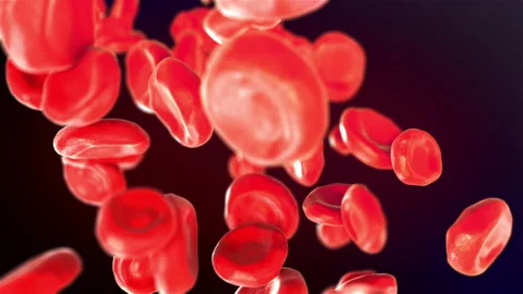 Blood Flow Animation Stock Videos – Royalty-Free HD & 4K Videos