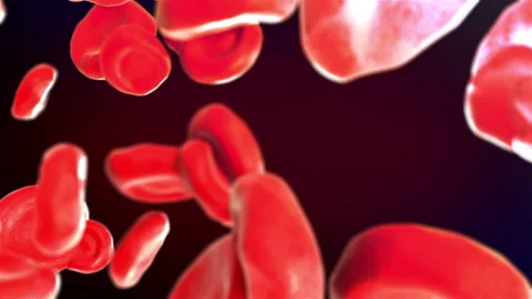 Blood Flow Animation Stock Videos – Royalty-Free HD & 4K Videos