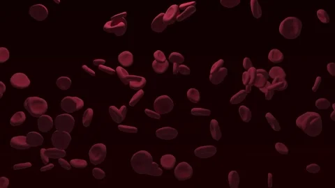 Blood cells flowing side view looped | Stock Video | Pond5
