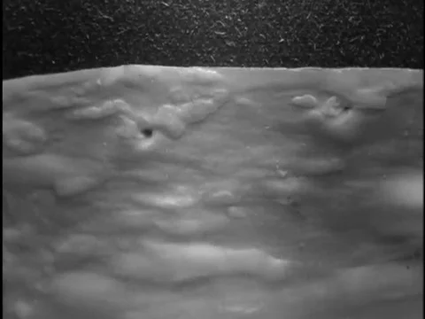 Blood clots clog test animals' arteries ... | Stock Video | Pond5