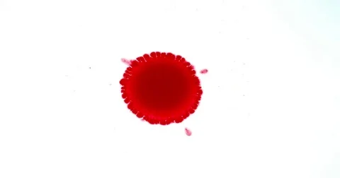 Blood Splash Slow Motion Stock Video Footage | Royalty Free Blood ...