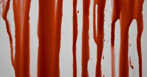 Blood dripping down on white background | Stock Video | Pond5
