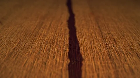 Blood Trail Stock Video Footage | Royalty Free Blood Trail Videos | Pond5