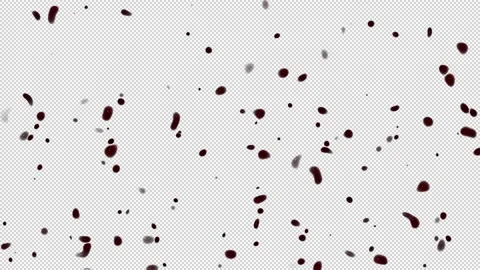 Blood Drops Dripping Down in Camera Scre... | Stock Video | Pond5