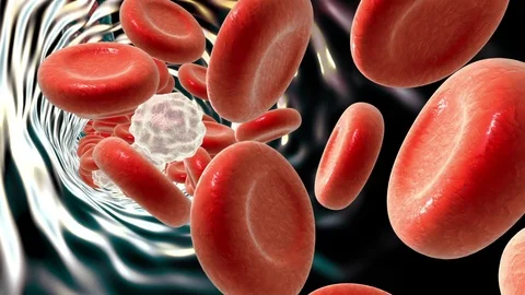 Blood Animation Stock Video Footage | Royalty Free Blood Animation ...