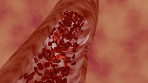 Blood Flow Animation Stock Videos – Royalty-Free HD & 4K Videos