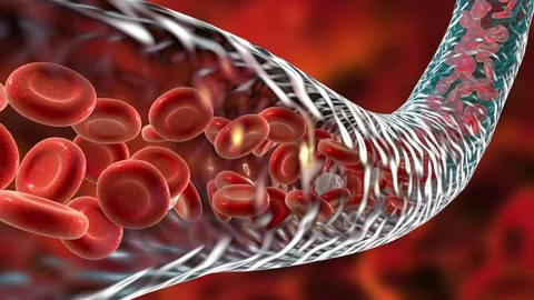 Blood flow, red blood cells and leukocyt... | Stock Video | Pond5