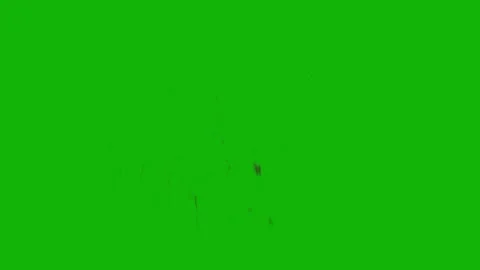 Blood Green Screen Stock Video Footage | Royalty Free Blood Green ...