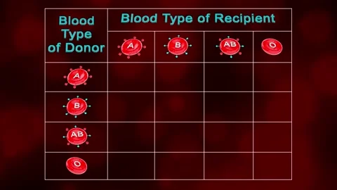 Blood Group chart | Stock Video | Pond5