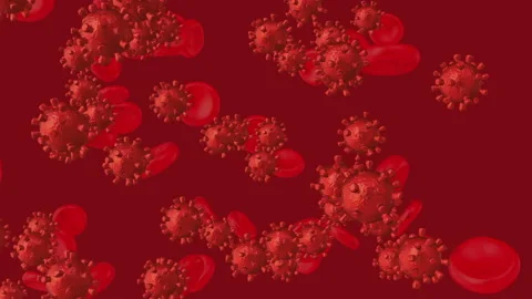 Platelets Background Stock Footage ~ Royalty Free Stock Videos | Pond5