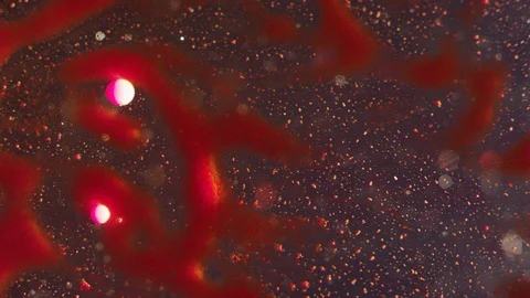 Blood red splash liquid particles bokeh ... | Stock Video | Pond5