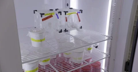 Laboratory Fridge Stock Footage ~ Royalty Free Stock Videos | Pond5