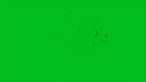 Blood splash on green screen background | Stock Video | Pond5