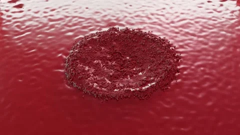 Blood Splash Slow Motion Stock Video Footage | Royalty Free Blood ...