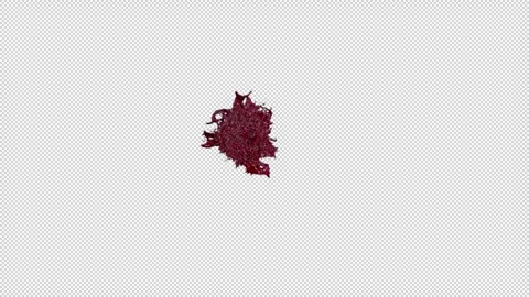 Transparent Blood Splatter Stock Videos – Royalty-Free HD & 4K Videos