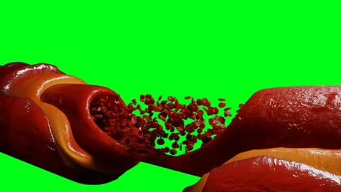 blood stream. red blood cells. Inside hu... | Stock Video | Pond5