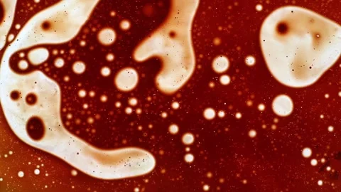 Blood Under Microscope Stock Footage ~ Royalty Free Stock Videos | Page 2