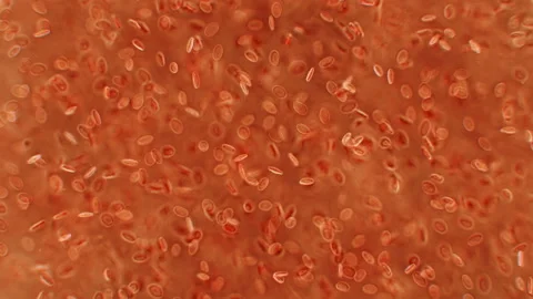 Blood under a microscope, the movement o... | Stock Video | Pond5